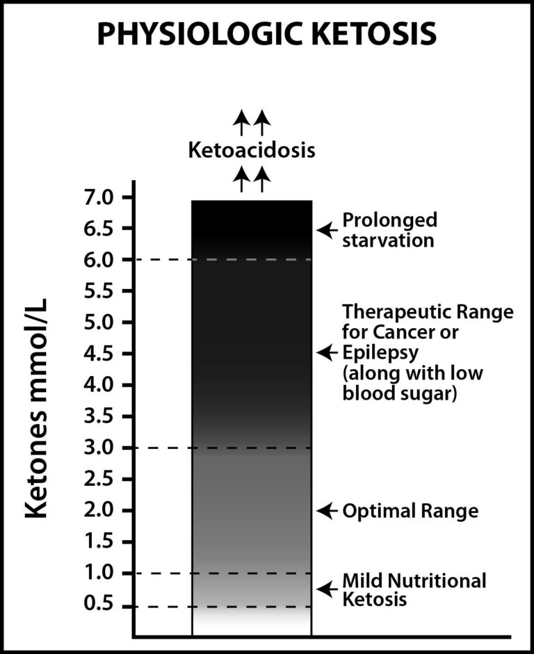 Explore the Keto Diet Guide - Brain Health by Dr. Newport